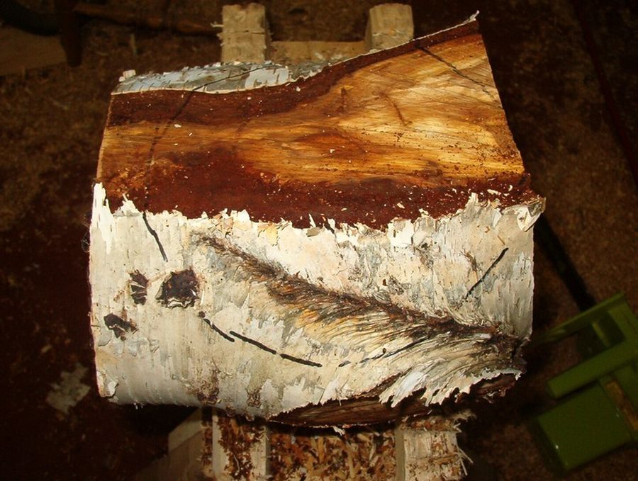 Woodturning Design - Birch Crotch - Page 2